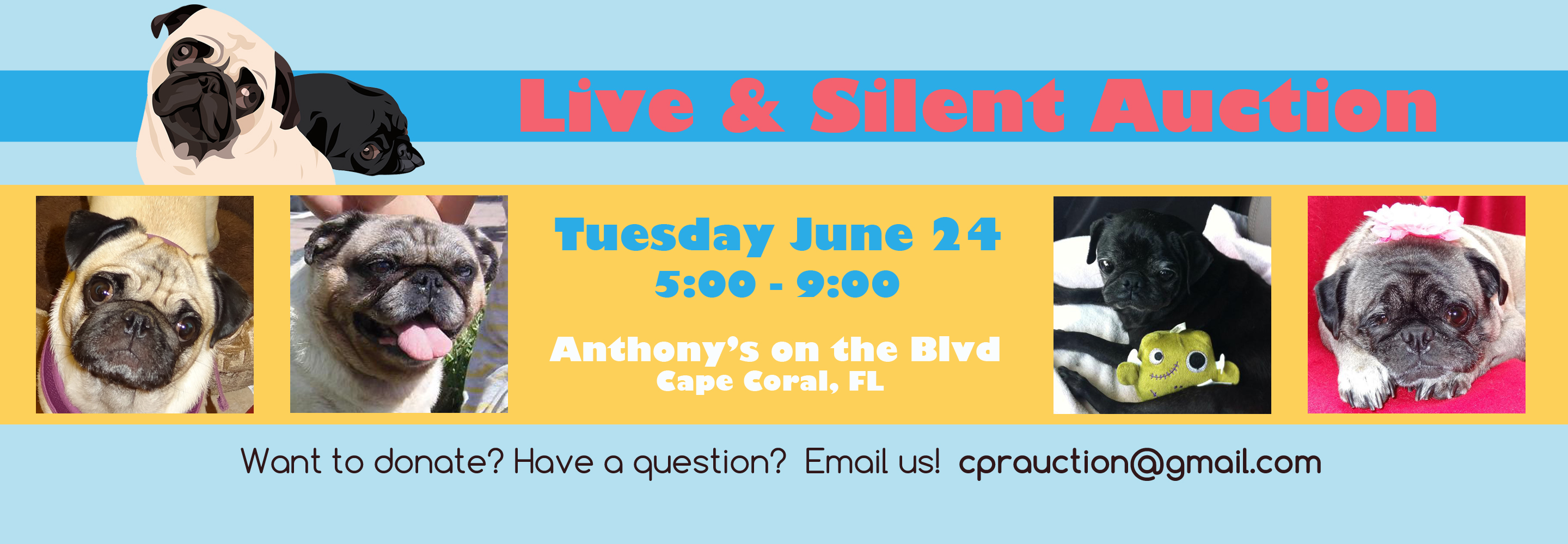 Compassionate Pug Rescue | A Non-Profit All Volunteer Pug Rescue ...