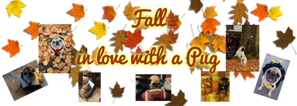 Compassionate Pug Rescue | A Non-Profit All Volunteer Pug Rescue ...